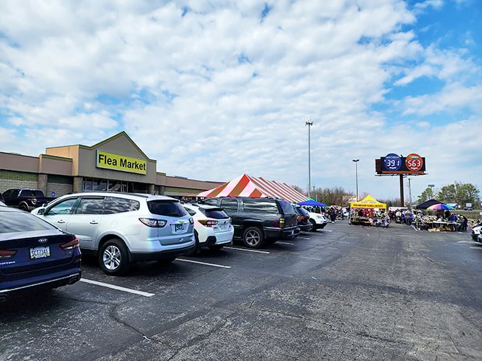 Where parking lots become social clubs. Shoppers gather under bright skies, united by the universal language of great deals.