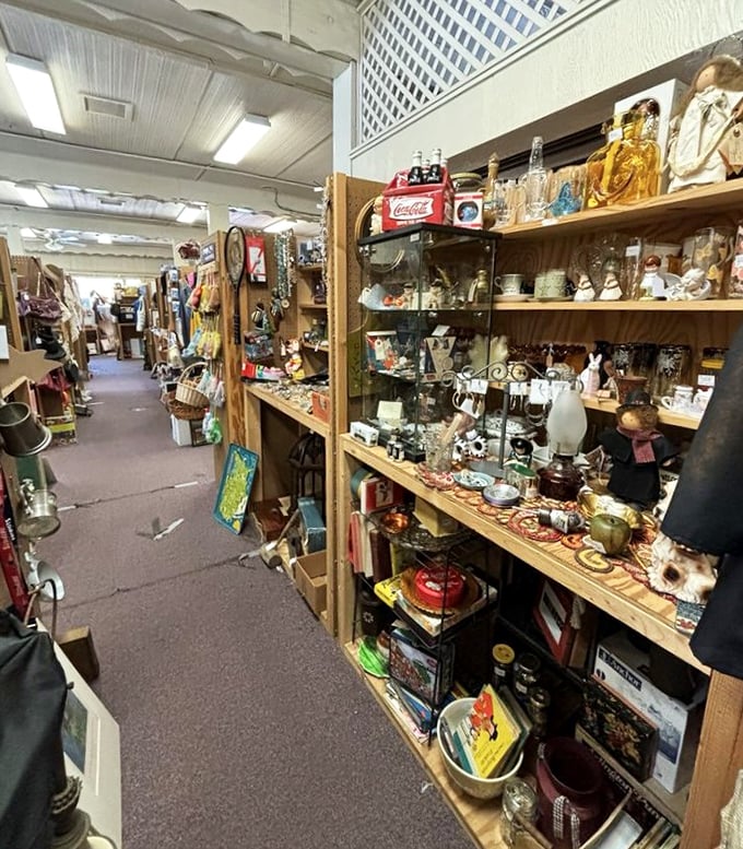 Shelves packed floor to ceiling create a treasure hunter's maze - Indiana Jones would feel right at home.