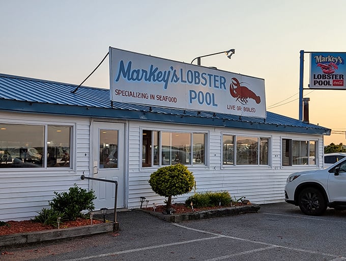 Sunset casts a golden glow on Markey's simple white exterior – nature's way of highlighting where the good stuff is.