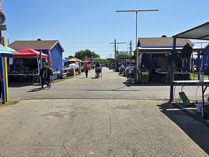 Shaded stalls create perfect browsing conditions where families can spend entire days discovering hidden market gems.