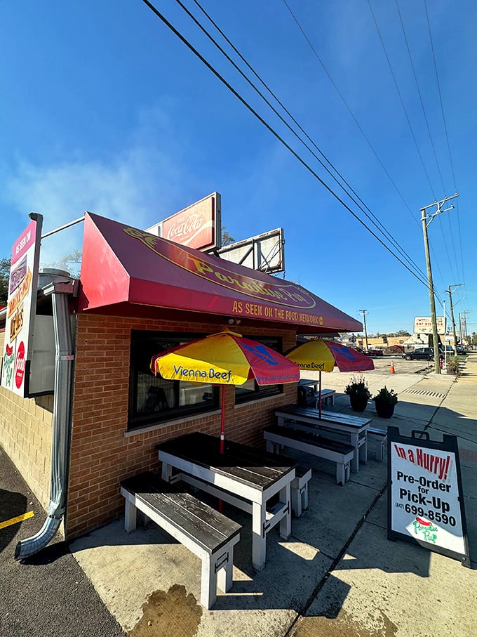 Those picnic tables have witnessed more burger epiphanies than a food critic's notebook.