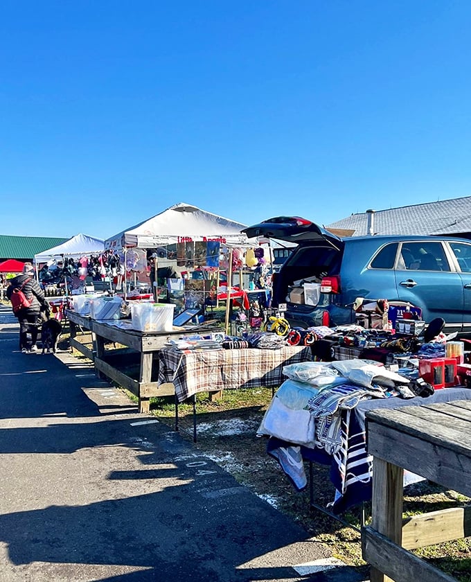 A crisp morning at Rice’s Market brings friendly vendors, great bargains, and cheerful conversations under a clear blue sky.