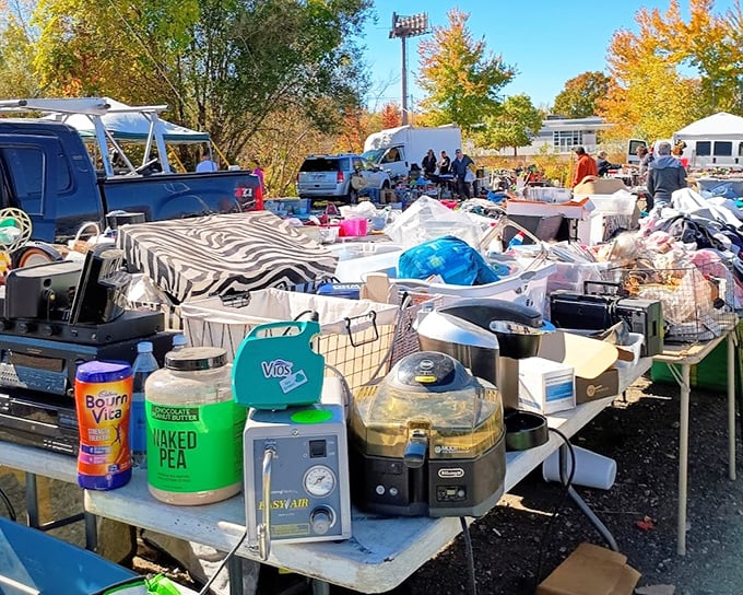 Outdoor flea market magic—where every table might contain that perfect something you never knew you needed until this very moment.