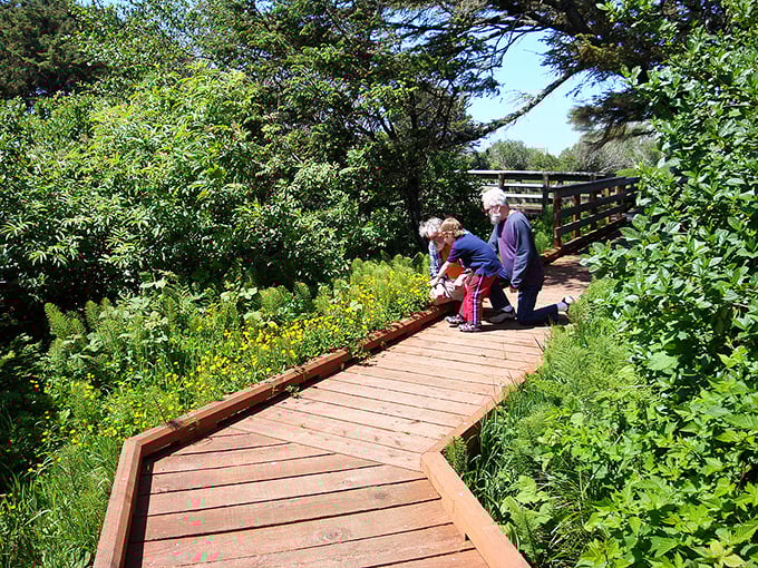 Forget your troubles on this boardwalk. The Pacific's got better stories to tell anyway.