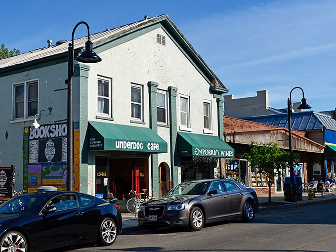 The Underdog Café and neighboring shops in Yellow Springs offer the perfect excuse to linger over coffee and conversation without checking your watch.