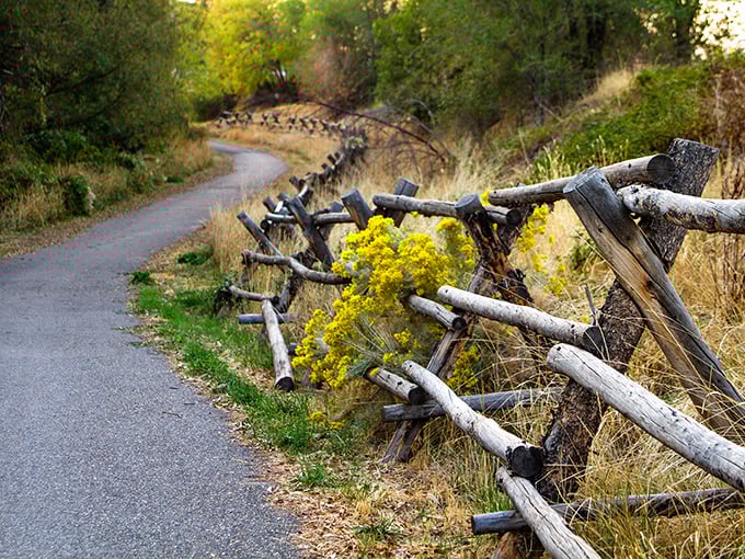 Nature's therapy session awaits on Pocatello's scenic trails, where rustic fences guide you through golden wildflowers and whispered mountain secrets.