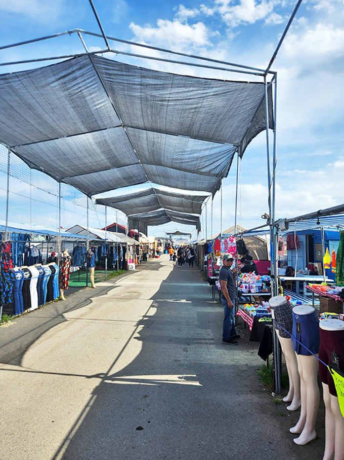 Shade-seekers and deal-finders unite under these practical canopies—Eastern Washington's answer to mall shopping without the piped-in music.
