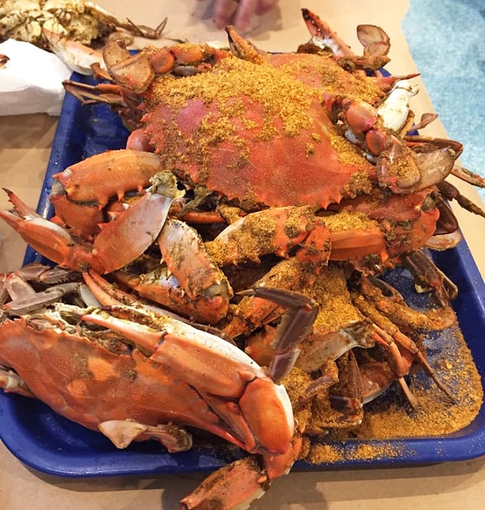 Maryland blue crabs, generously dusted with Old Bay, await their destiny. This isn't just dinner—it's a delicious puzzle that rewards persistence.