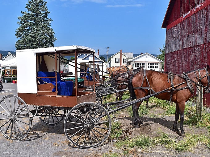Horse-drawn transportation isn't a tourist attraction here—it's Tuesday. This working buggy represents centuries of practical tradition still alive today.