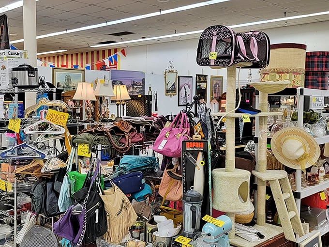 Organized chaos at its finest—this vendor's collection of handbags, pet supplies, and home goods creates a "where's Waldo" of potential purchases.