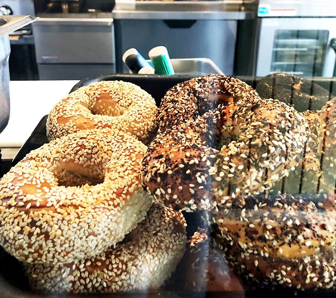 These aren't just bagels—they're edible works of art. Hand-rolled, boiled, and baked to that perfect balance of chewy interior and crackling crust that makes bagel lovers weak in the knees.