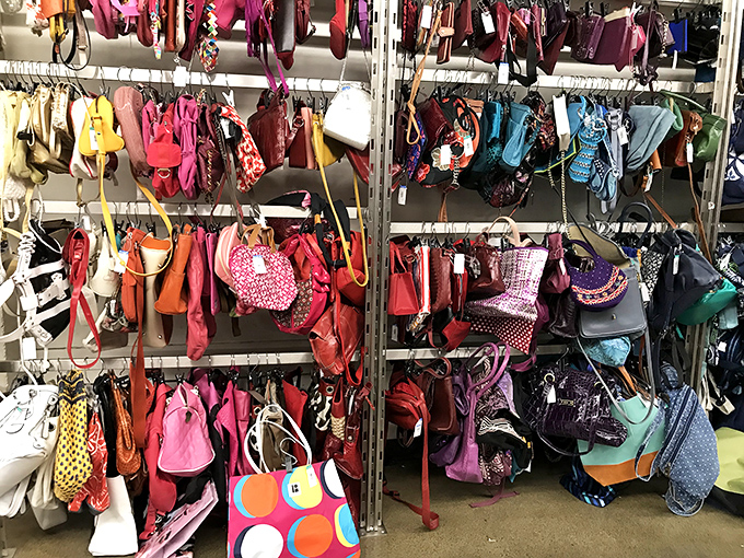 Handbag heaven! A kaleidoscope of purses, totes, and clutches hanging like colorful fruit, ripe for the picking at a fraction of department store prices.