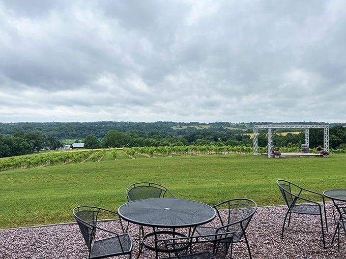 The rolling hills surrounding New Glarus provide the perfect backdrop for vineyard seating. Wine with a view – what else could you possibly need?