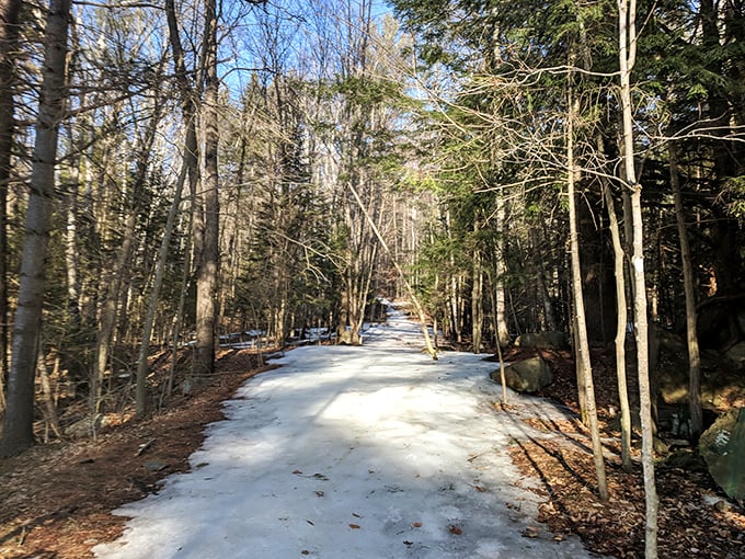 Winter's white carpet rolls out along Baker Mountain Trail. The perfect place to remember that snow is beautiful when you're not commuting through it.