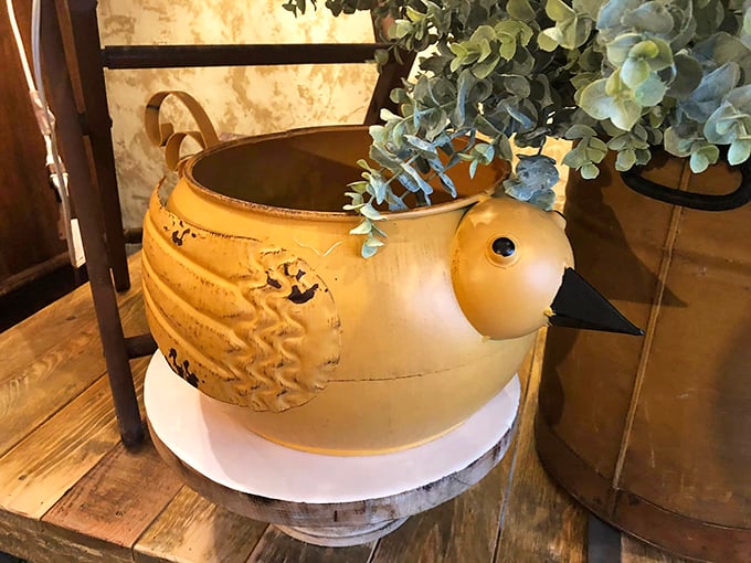 Not just a planter, but a conversation piece! This whimsical bird vessel proves that even your houseplants deserve accommodations with personality.
