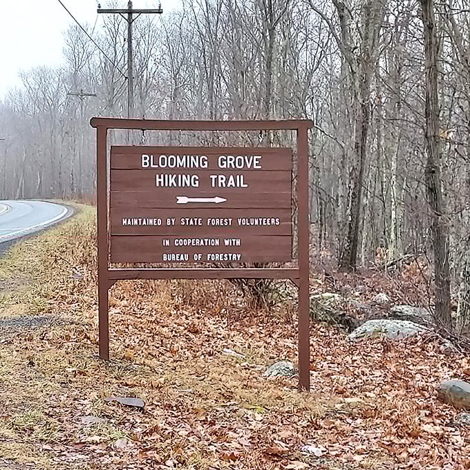 The Blooming Grove Hiking Trail sign stands as nature's invitation card. Adventure awaits just beyond that wooden arrow.