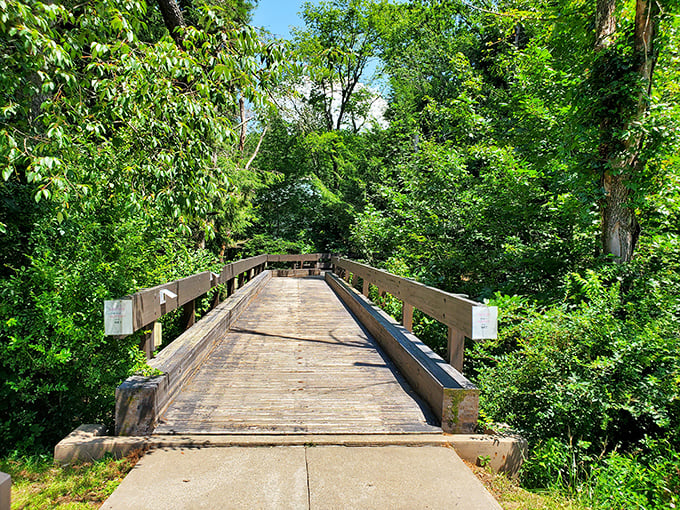 Summer's green tunnel invites exploration across this sun-dappled wooden bridge. The path ahead whispers promises of discoveries just around the bend.