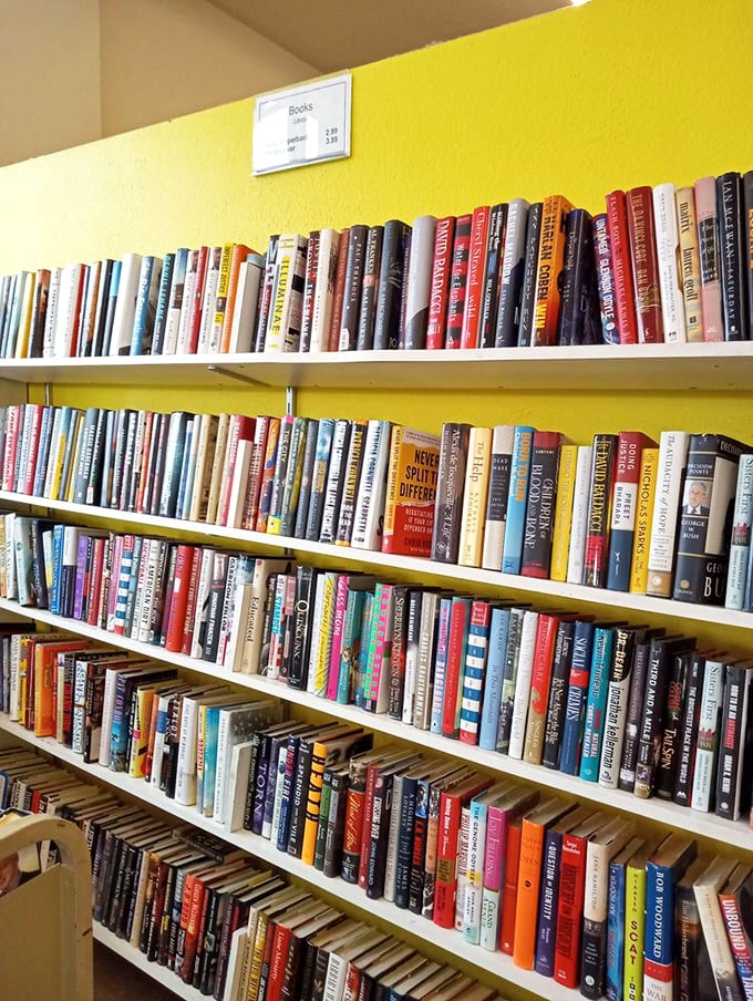Literary treasures stacked spine-to-spine—from forgotten bestsellers to timeless classics—all patiently waiting for their next reader to discover them for less than a coffee.