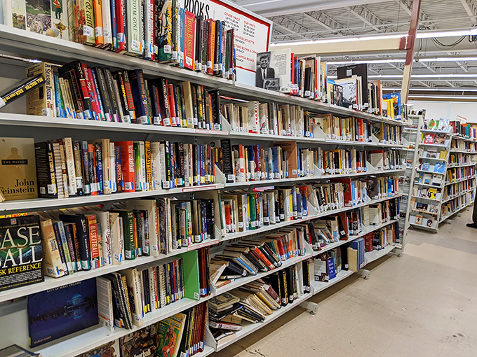 Literary treasures stacked floor to ceiling – from forgotten bestsellers to quirky cookbooks. Every book has a story beyond its pages.