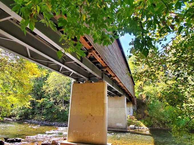From below, the bridge appears to float between worlds. Half engineering marvel, half rustic postcard come to life.