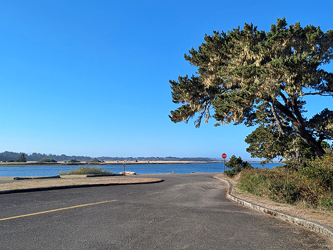 The road to paradise doesn't need billboards – just this perfect curve of asphalt leading to Bandon's breathtaking waterfront views.