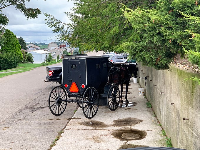 The iconic black Amish buggy—the original eco-friendly transportation—parked alongside modern vehicles in a perfect metaphor for Berlin's unique charm.