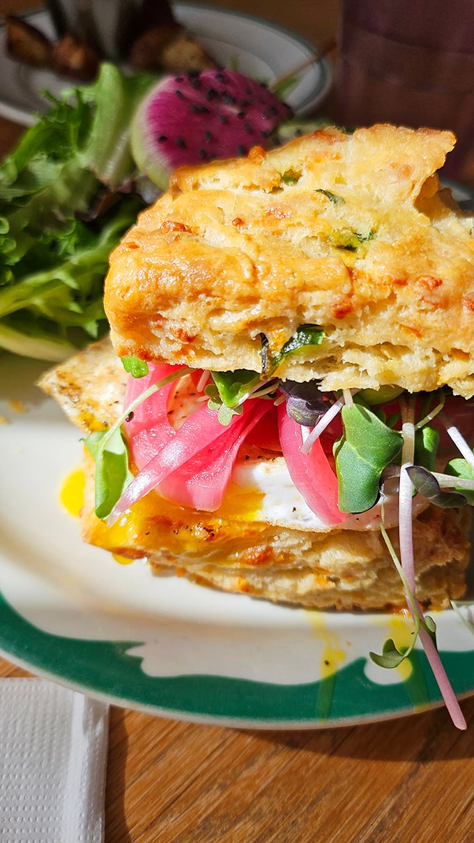 The legendary cheddar scallion biscuit sandwich in all its glory. Layers of flavor stacked between buttery, flaky perfection—worth every calorie.