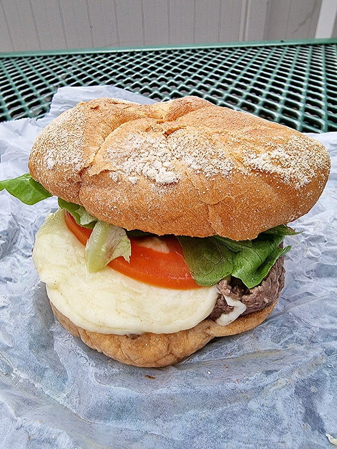 This isn't just a cheeseburger—it's a monument to melty magnificence that demands to be photographed before devoured.
