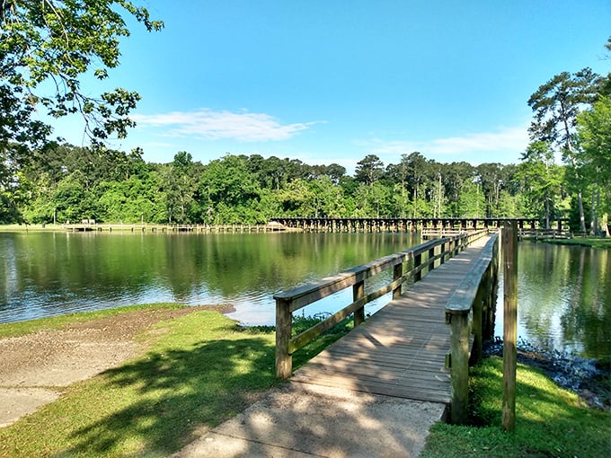 Cherokee Lake Park offers that perfect blend of serenity and accessibility – nature's therapy session just minutes from downtown.