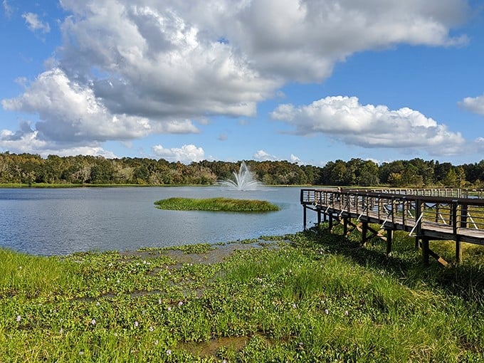 Cooter Pond Park offers a slice of tranquility with its fountain centerpiece – proof that sometimes the best entertainment is simply watching ripples dance across water.
