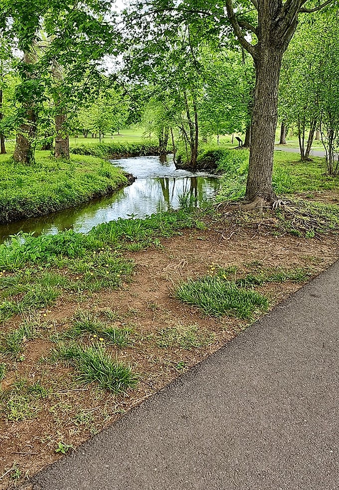 Nature's version of a spa day – this tranquil stream along Culpeper's Greenway Trail whispers promises of serenity that no meditation app can match.