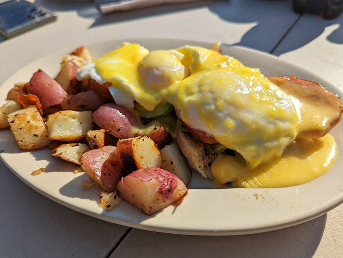 Behold the Benedict in its natural glory – hollandaise cascading like a golden waterfall over perfectly poached eggs, with home fries that didn't come from a freezer bag.