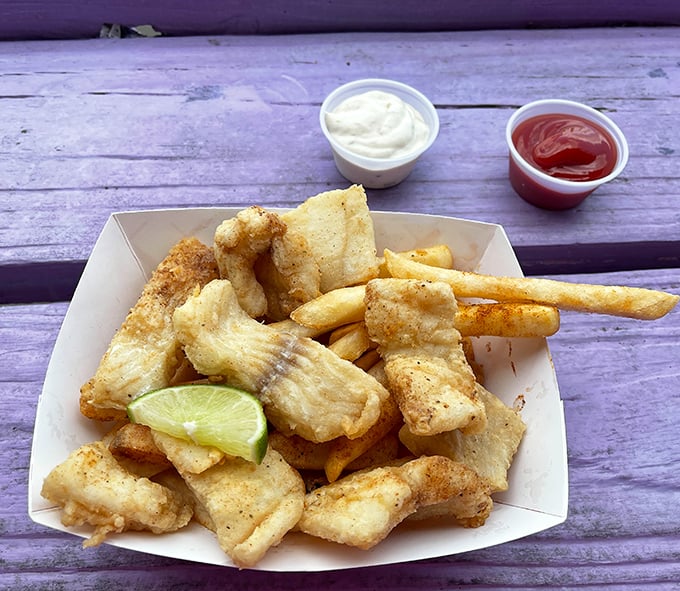 Golden-battered fish chunks nestled against hand-cut fries—a combination so perfect it makes you wonder why we bother with fancy food.
