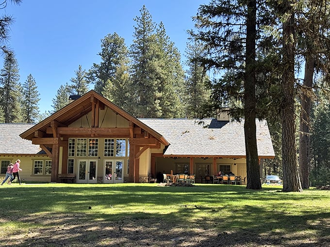 The visitor center that puts mall architecture to shame. Rustic timber framing and floor-to-ceiling windows bring the outside in.