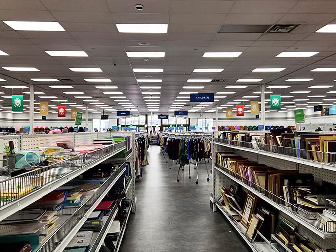 Books on one side, random treasures on the other—this aisle is like the mullet of thrift store organization: business on the left, party on the right.