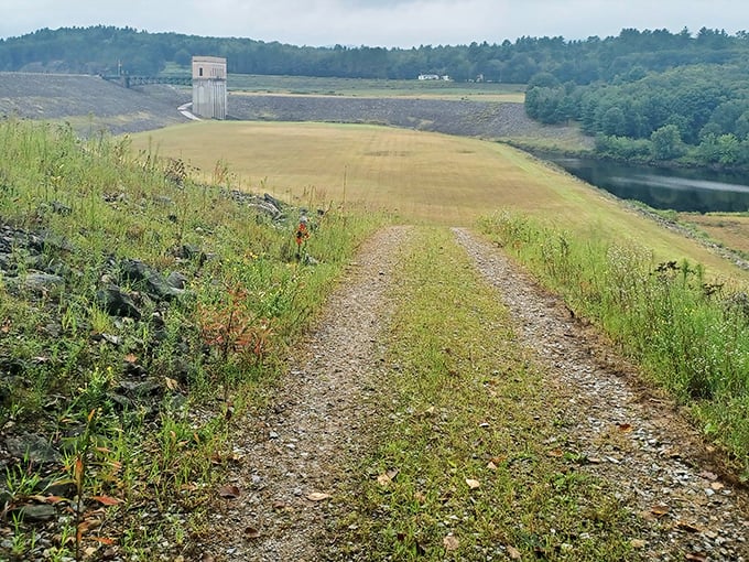 Nature's retirement plan includes scenic trails like this one. No membership fees required—just comfortable shoes and an appreciation for quiet beauty.