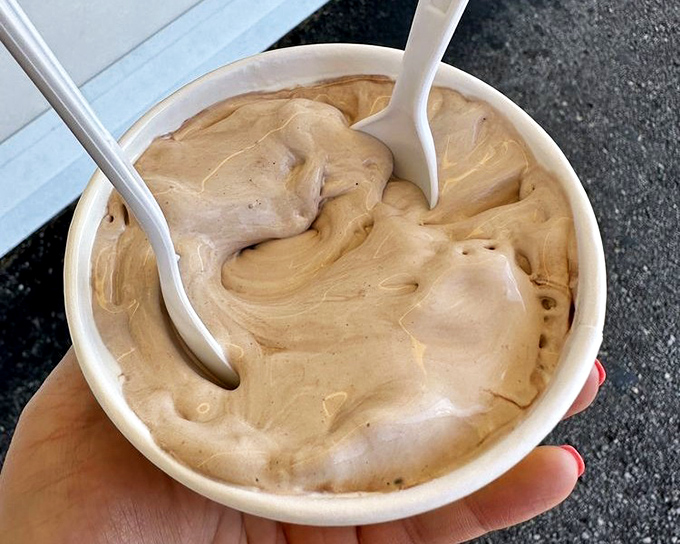 Silky, dense, and impossibly smooth—this isn't just frozen custard, it's edible velvet. The texture alone explains why people willingly wait in summer heat.