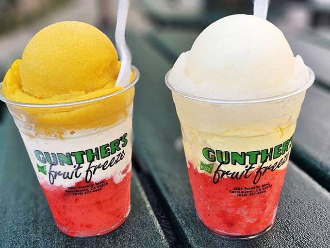 Fruit Freezes: Where ice cream and fruit sorbet collide in perfect harmony, like a dessert version of The Odd Couple.