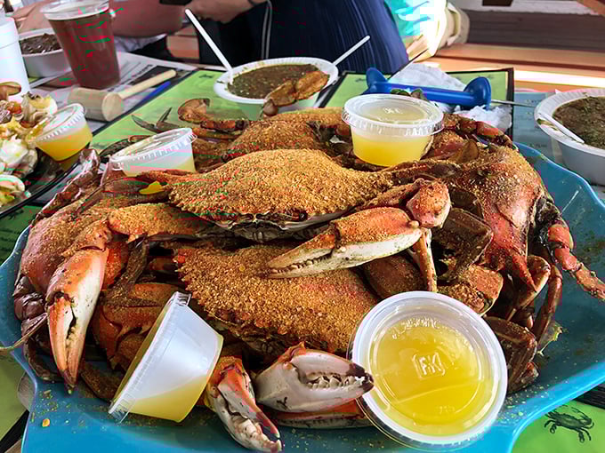 Blue crabs piled high like a crustacean Mount Everest. Bring your appetite and possibly a bib—dignity is optional here.
