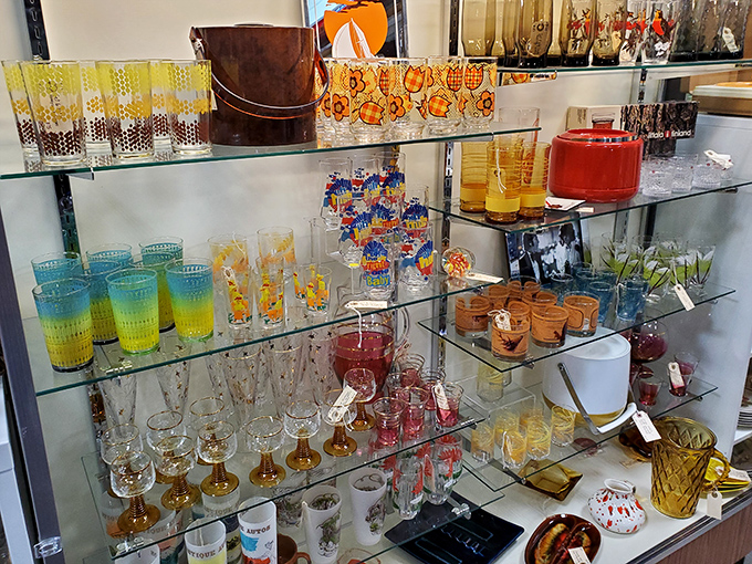 Colorful vintage glassware that puts modern kitchen equipment to shame. These aren't just cups – they're conversation pieces with pedigrees!
