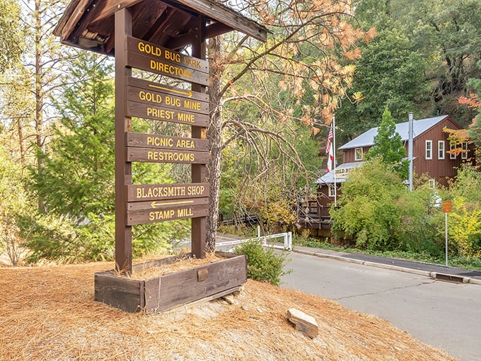 Gold Bug Park's wooden signpost – where "choose your own adventure" meets actual California history. No CGI needed for this authentic Gold Rush experience!