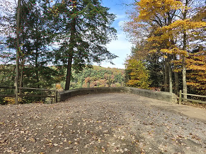Fall's paintbrush transforms Mohican's Gorge Overlook into a masterpiece of reds and golds. Mother Nature showing off her seasonal wardrobe change.