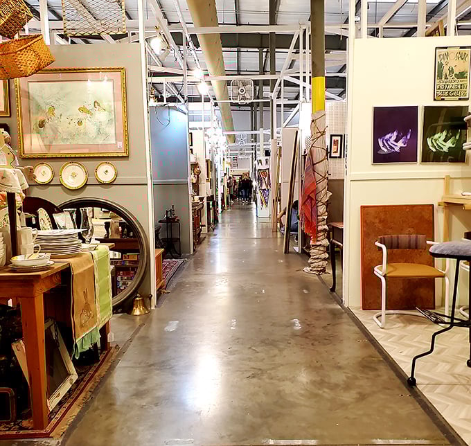 Aisles that seem to stretch into infinity, each one a rabbit hole of discovery where time disappears faster than your shopping budget.