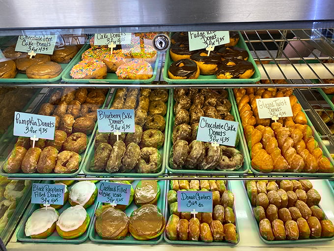 This donut case looks like someone organized happiness into neat rows – pumpkin, blueberry cake, chocolate cake, all waiting patiently.