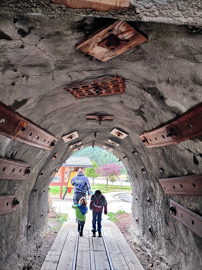 Mining history comes alive as visitors step through this tunnel portal—a journey into darkness that paradoxically sheds light on Wallace's rich underground heritage.