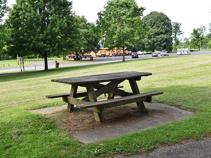 A lone picnic table waits patiently for families to create memories over sandwiches and potato salad—some of life's best conversations happen over paper napkins.
