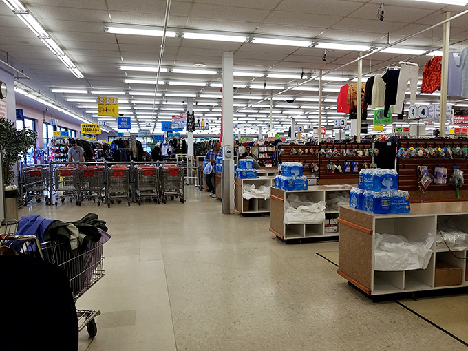 Fluorescent lights illuminate acres of possibility. Like a department store, minus the sticker shock and overeager salespeople.