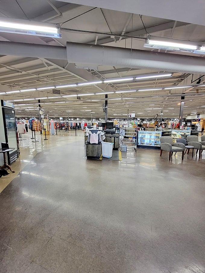 Step inside and the treasure map unfolds – spacious aisles and organized departments that somehow maintain the thrill of discovery.