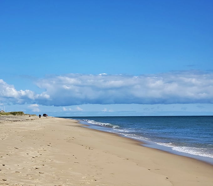 South Beach stretches toward infinity, where the Atlantic's gentle waves perform their timeless percussion on golden sand that feels like warm silk between your toes.