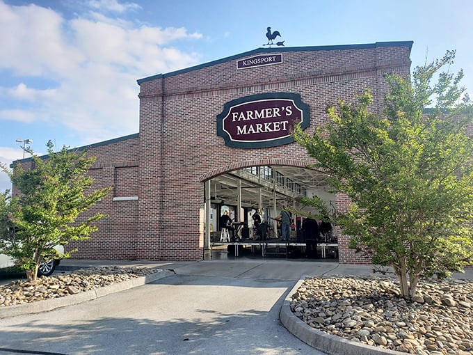 The Kingsport Farmers Market isn't just a building—it's Saturday morning social hour with bonus tomatoes and homemade jam.